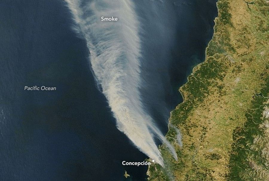 Fires in Chile: Evacuations around Concepción and 30,000 Hectares
